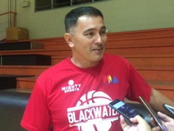 Hizon joins Elite as team consultant | Inquirer Sports