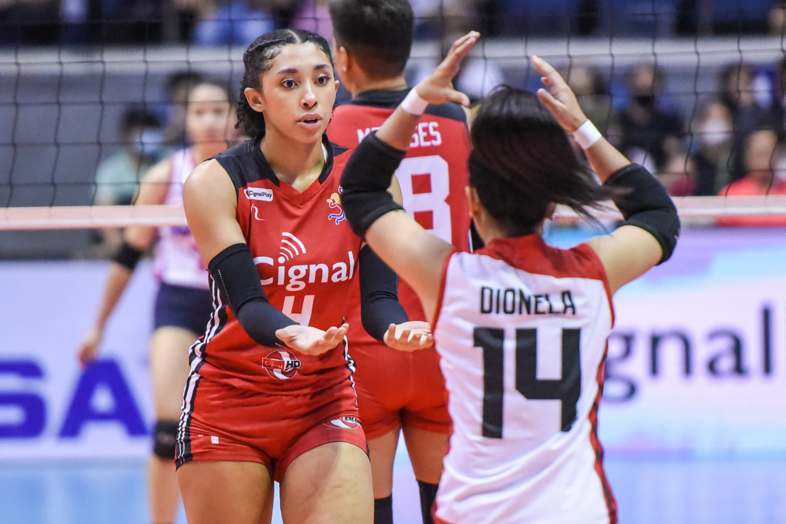 PVL: Cignal on cusp of finals breakthrough, tops Creamline | Inquirer ...