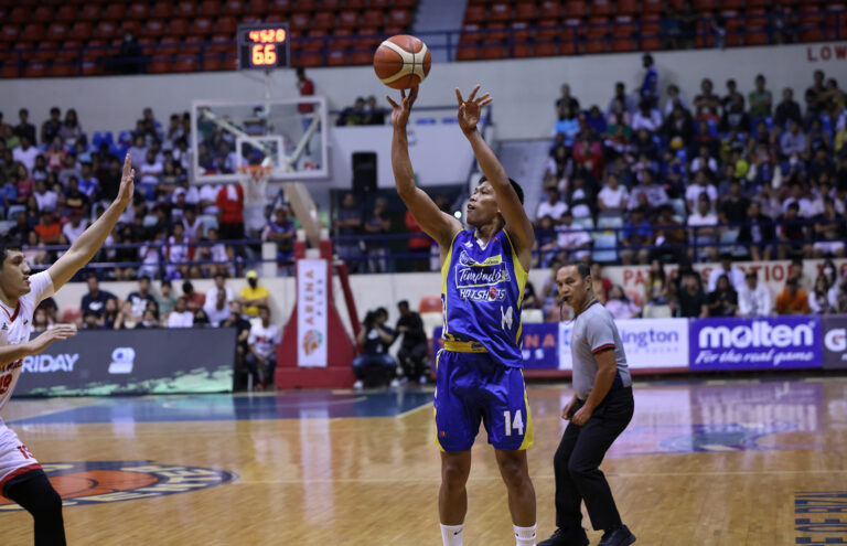 PBA: Magnolia building a winning culture in preseason, says Mark ...