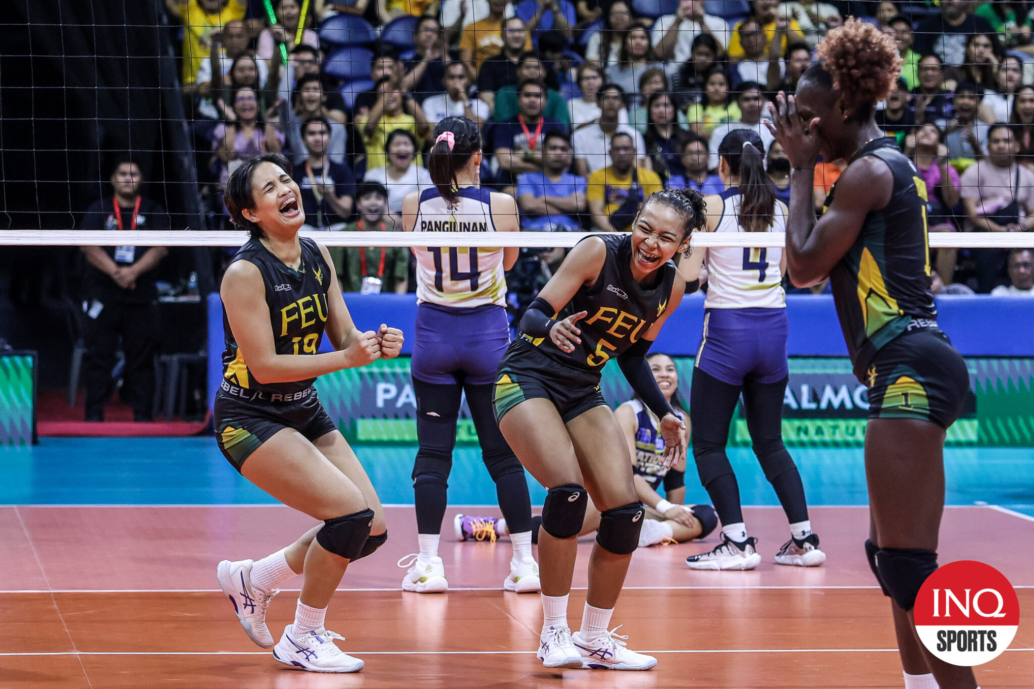UAAP SCHEDULE: Season 86 volleyball Final Four