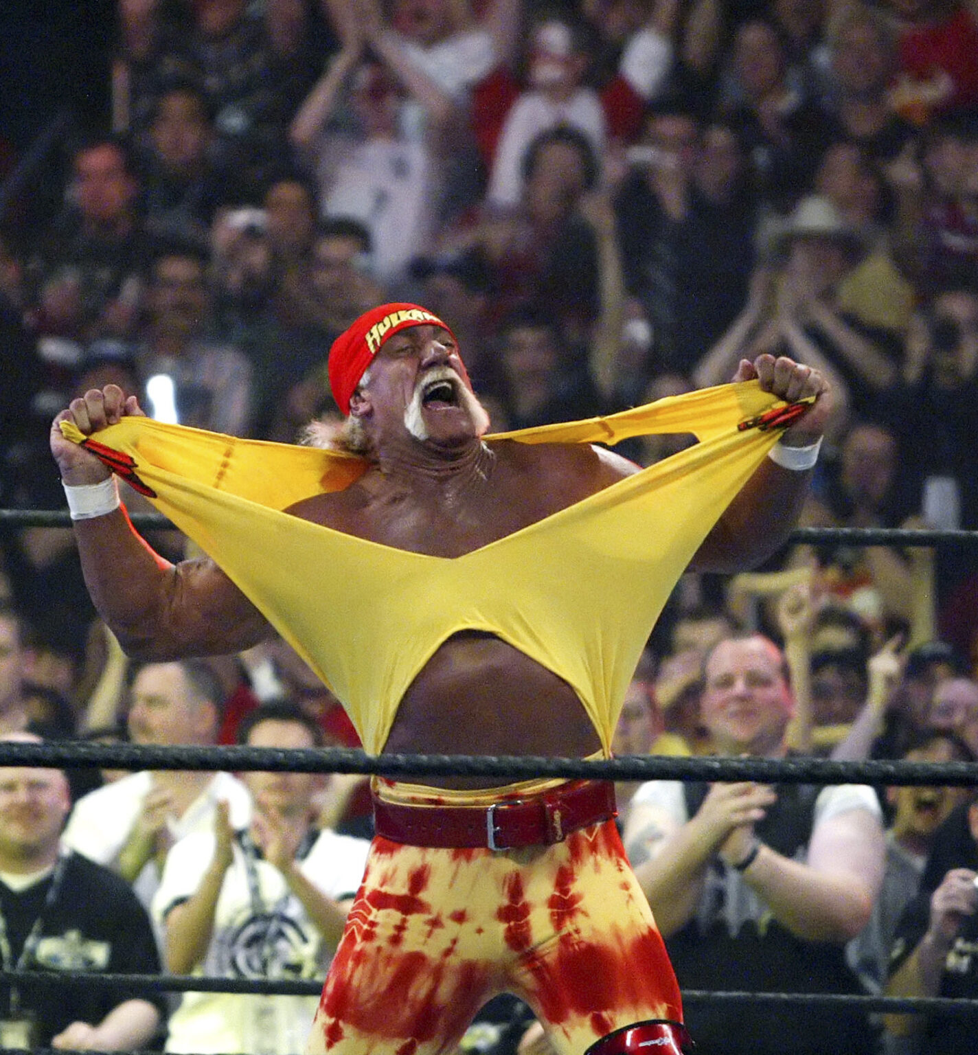 Hulk Hogan, icon in professional wrestling, dies at age 71