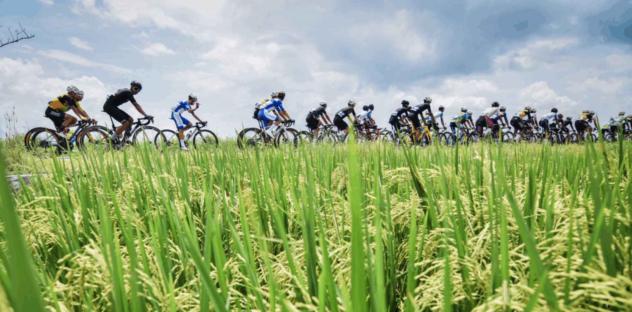 Former UST standout Cruz brings cycling to his hometown